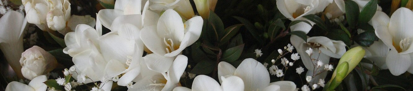 Lush Freesia Flower Scent | Pristine Aroma – Pristine MY